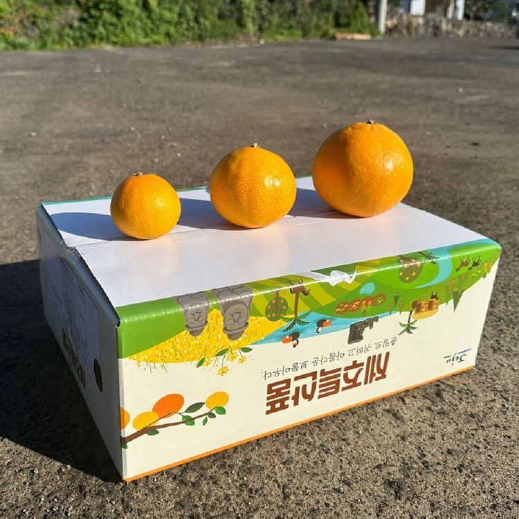 오렌지팜 제주 고당도 황금향10kg 대과 귤직거래 당도높은귤 홈플러스 택배배송