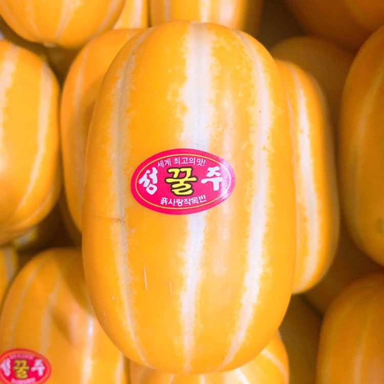 가정용 성주 참외 1kg 소과 홈플러스 택배배송