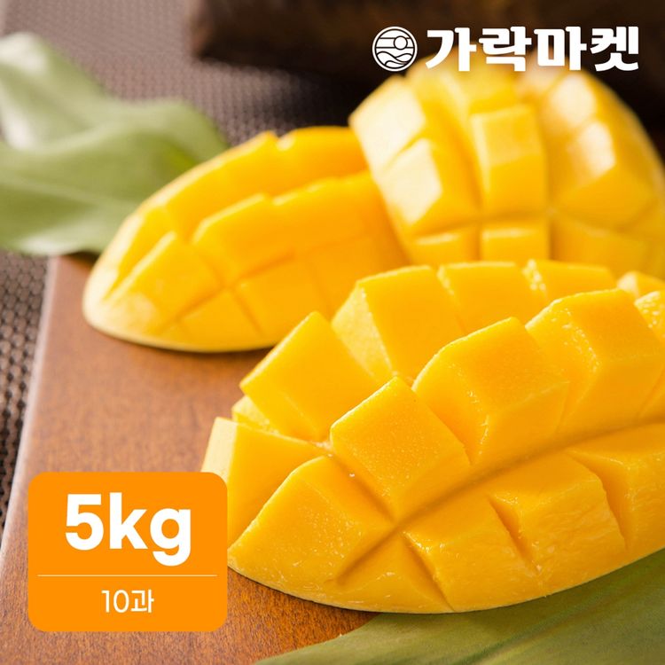 가락마켓 고당도 프리미엄 골드망고 5kg10과 홈플러스 택배배송