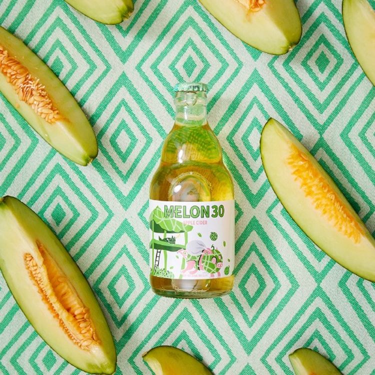 댄싱사이더 멜론서리 5도 330ml 멜론사이더 홈플러스 택배배송