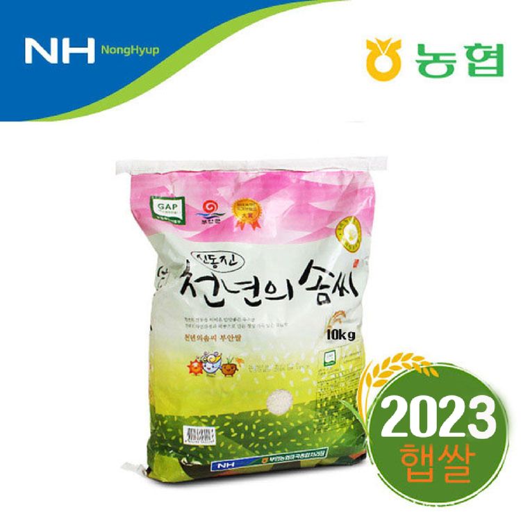 2023년 햅쌀 부안농협 천년의솜씨 신동진쌀 10kg 당일도정 홈플러스 택배배송