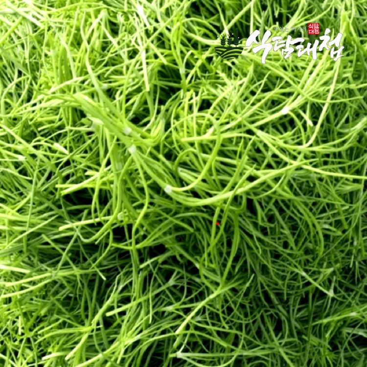 식탐대첩 국내산 세발나물 갯나물 4kg 홈플러스 택배배송