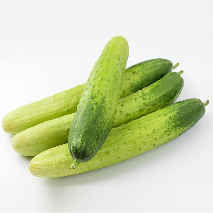 백다다기 오이 오이샐러드 소박이김치 피클 50개 홈플러스 택배배송