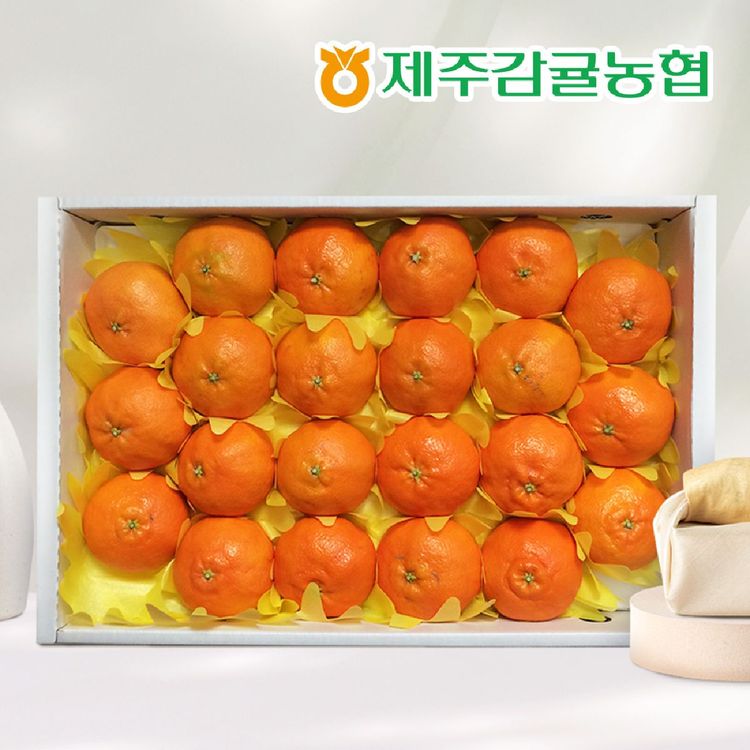 제주바람 제주농협 직송 레드향 선물세트 3kg10~15과 홈플러스 택배배송