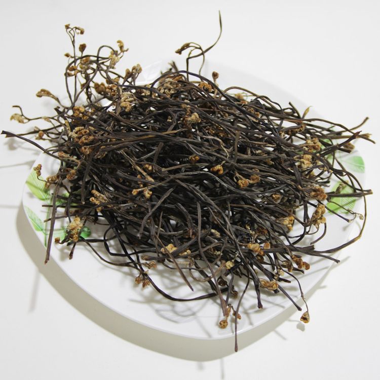 산지직송 농장주 품질보장 하동 건고사리 150g 홈플러스 택배배송