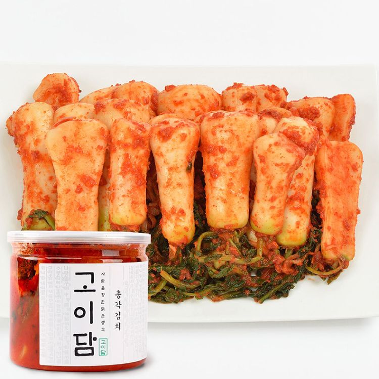 푸른들 고이담 총각김치 450g 캔김치 홈플러스 택배배송