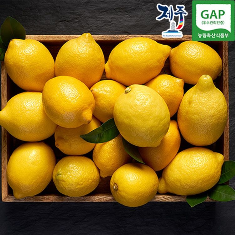 GAP 인증 안심농산물 제주에서 키운 제주레몬 2.5kg | 홈플러스 택배배송