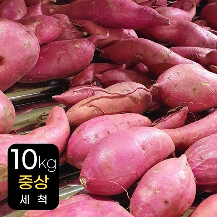 해남 햇 꿀고구마 베니하루카 제철간식 산지 직배송 베니하루카꿀 중상10kg세척 홈플러스 택배배송