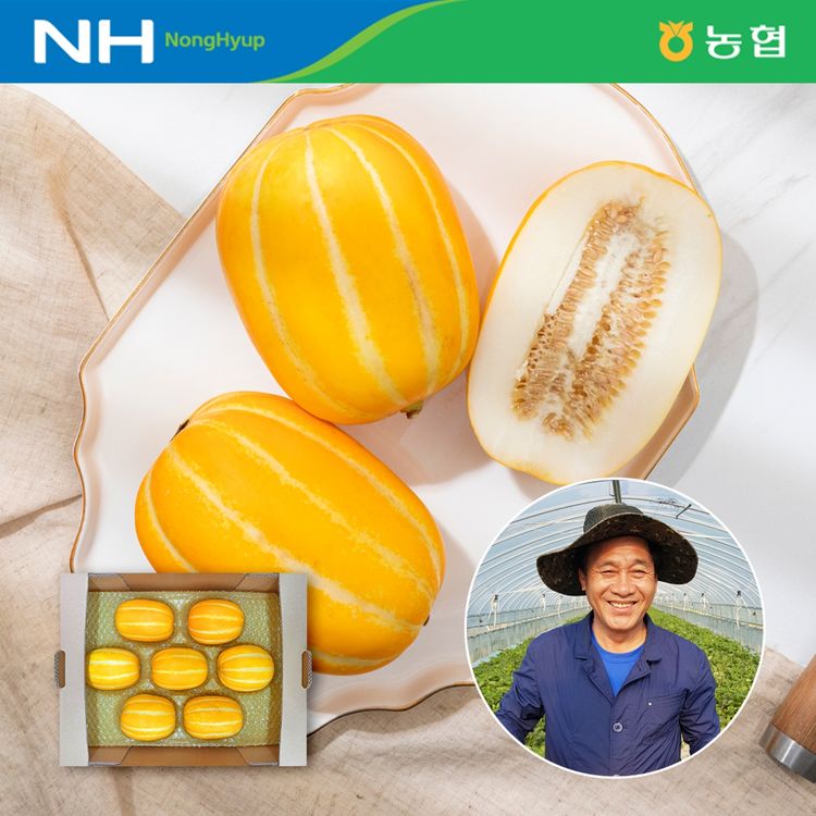 산지직송 농협 아삭달콤 성주참외 정품 3kg 등급 특 홈플러스 택배배송