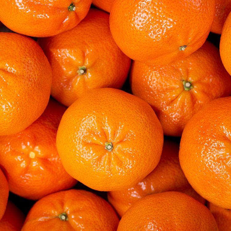 고당도 제주 감귤 가정용 하우스감귤 3kg 소과(가정용/2S~3S) | 홈플러스 택배배송