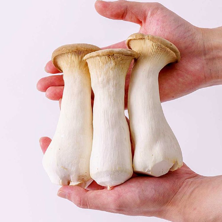 Gap인증 무농약 새송이버섯 특 2kg 홈플러스 택배배송