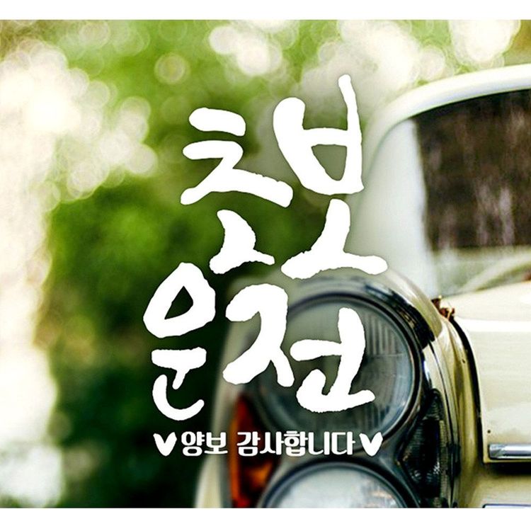 초보운전 Nc3019b9402 양보감사 세로캘리텐션 자동차스티커 화이트 홈플러스 택배배송