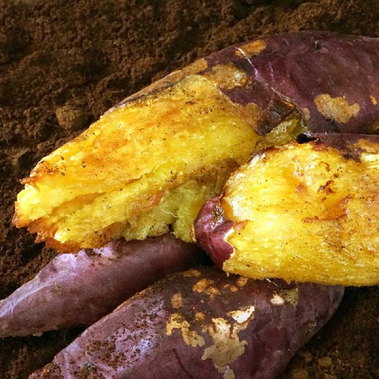 해남 무농약 꿀밤 고구마 중상크기 10kg 홈플러스 택배배송