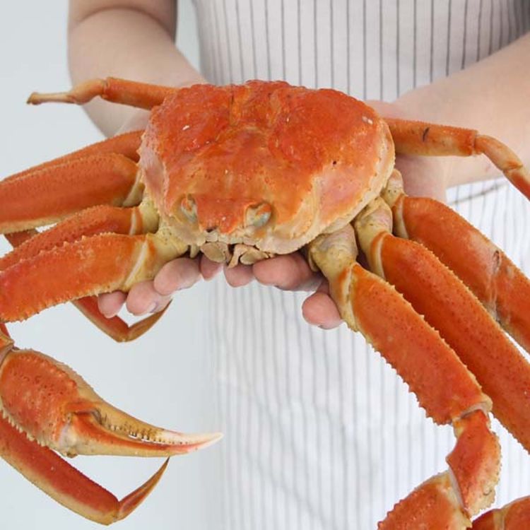후레쉬앤푸드 선어 자숙찜 러시아산 대게 총1kg 1마리 수율 80 이상보장 홈플러스 택배배송