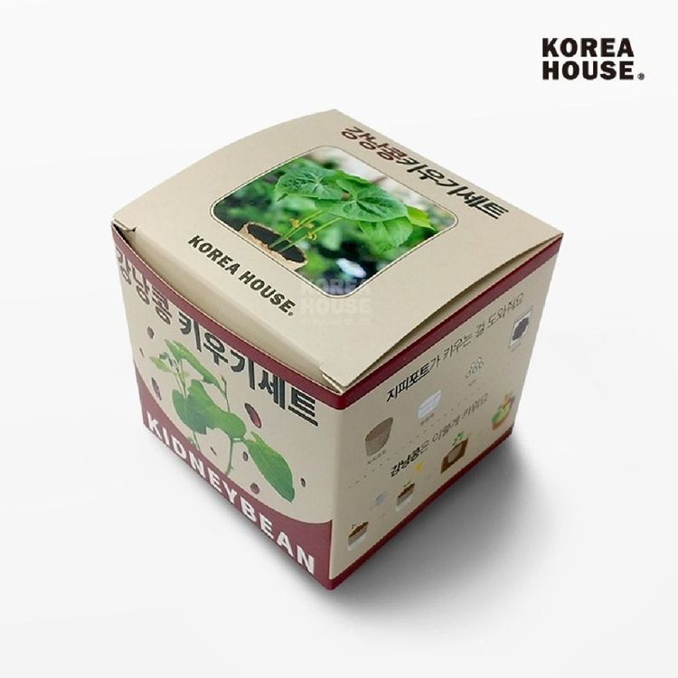 키우기세트 텃밭 베란다 기르기 식물 홈가드닝 강낭콩 홈플러스 택배배송