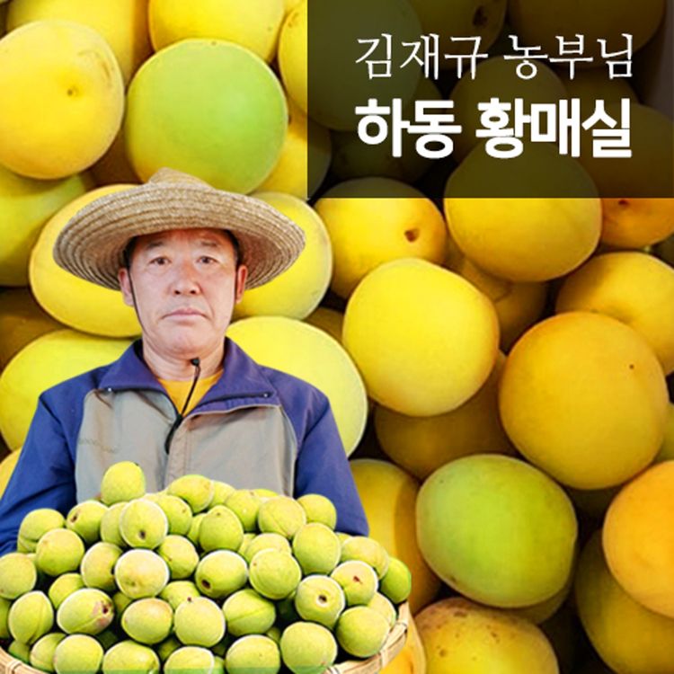 6월말 출고 참다올 산지직송 김재규농부의 하동황매실 5kg대29 31mm3번과 홈플러스 택배배송