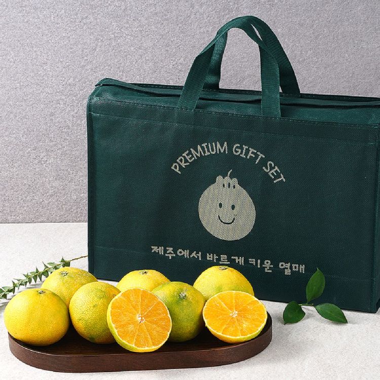 포미식탁 제주 감귤 황금향 선물용 중대과 3kg 선물용가방증정 홈플러스 택배배송