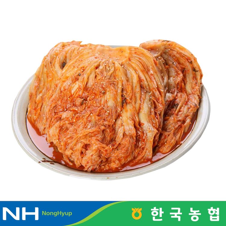 한국농협 마이산김치 국내산 묵힌김치 1kg 홈플러스 택배배송