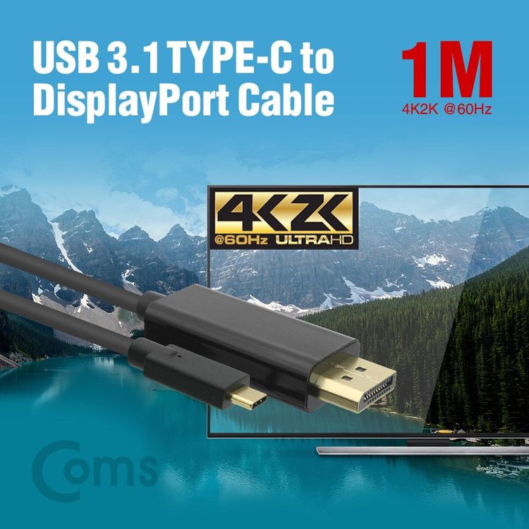Usb 31 Type Cm To Dpm 변환 컨버터 케이블 1m 홈플러스 택배배송