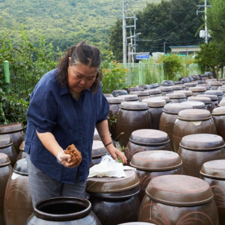 정미숙발효이야기 항아리 명인 재래식 배고추장 500g 6 홈플러스 택배배송