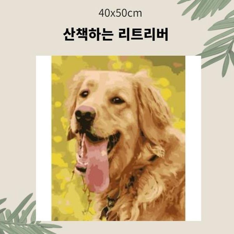 Oh 명화유화그리기a 207 산책하는리트리버 중형 40x50 홈플러스 택배배송