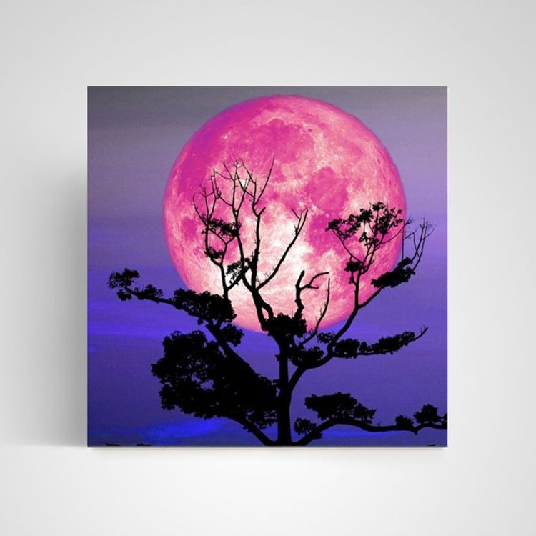 핑크문 Diy 구슬 보석십자수 홈플러스 택배배송
