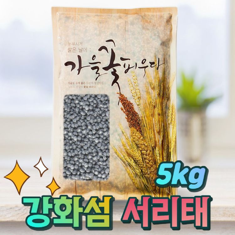 국산서리태 서리태콩 건강잡곡 검정콩 서리태 5kg 홈플러스 택배배송