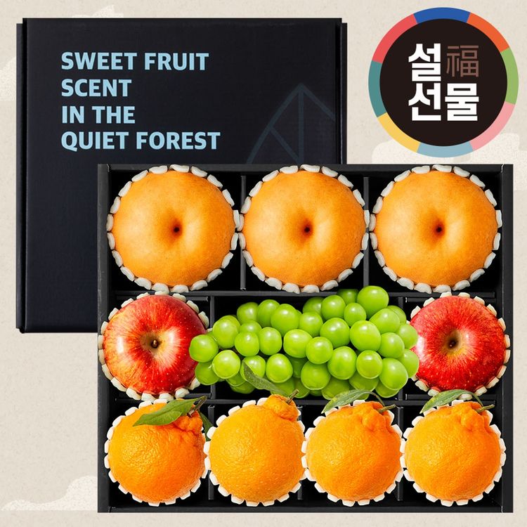 프리미엄 특대 샤인and사과2입and배3입and한라봉4입 선물세트 8호 총49kg 이상 홈플러스 택배배송