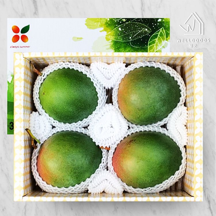 프리미엄 제주 왕망고 선물세트 3kg4과특대과 홈플러스 택배배송