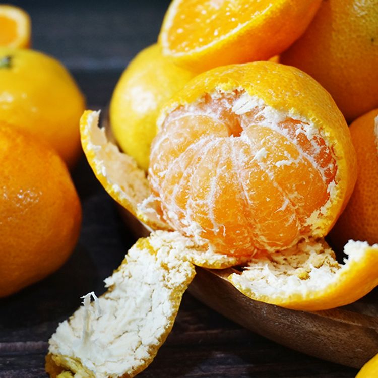 제주 감귤 3kg(2S/소과) | 홈플러스 택배배송