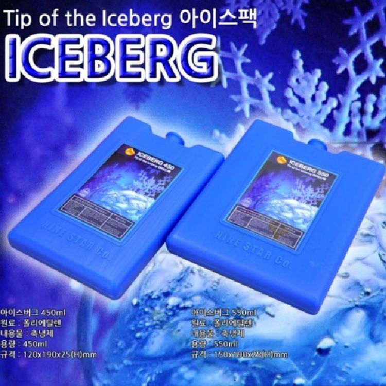 아이스팩 아이스버그 550ml 여름 피서 캠핑 차박 나들이 여행 보냉 보온 쿨러백 휴대용 홈플러스 택배배송