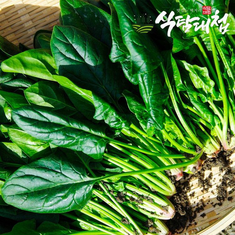 식탐대첩 국내산 손질 시금치 1kg 특품 홈플러스 택배배송