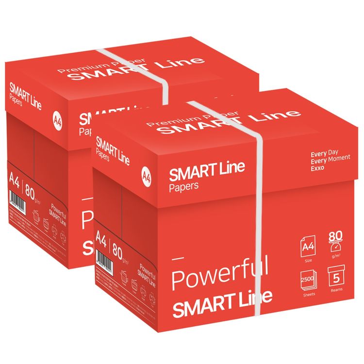스마트라인 A4 복사용지(A4용지) 80g 2BOX(5000매) | 홈플러스 택배배송