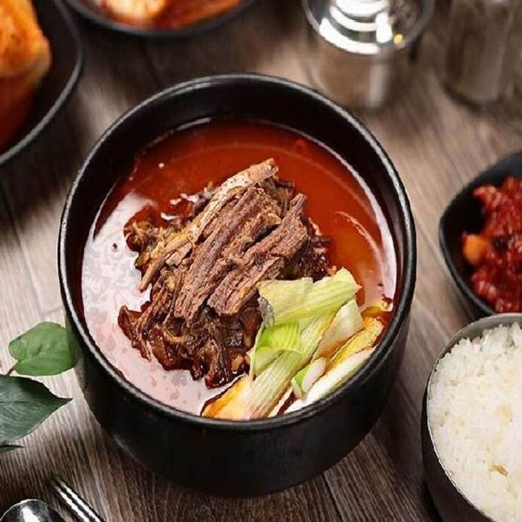참스토리 육개장 500g 8개 즉석국 간편식 요리 해장 홈플러스 택배배송
