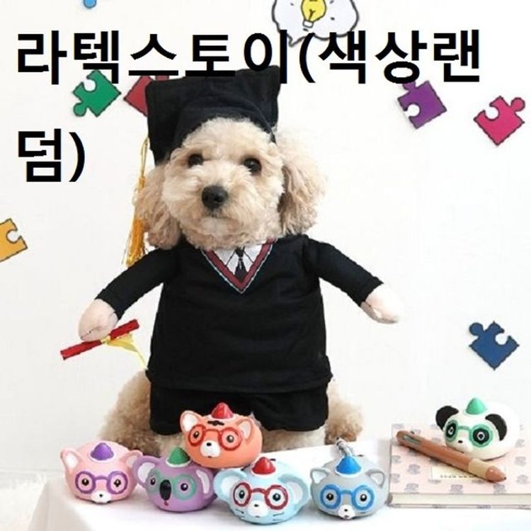 강아지공 삑삑이 라텍스토이 색상랜덤 애견공 홈플러스 택배배송