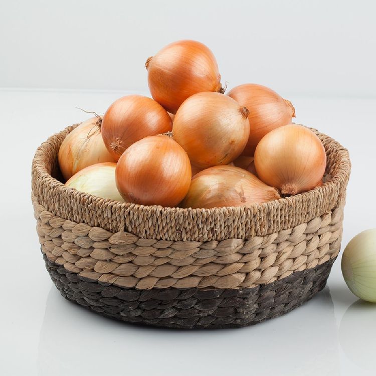 산지직송 국내산 단단한 양파 장아찌용 5kg 홈플러스 택배배송