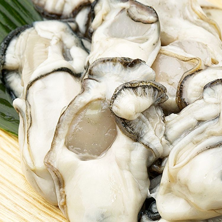 통영굴 당일 깐 싱싱한 제철 생굴1kg 직접생산 산지직송 홈플러스 택배배송