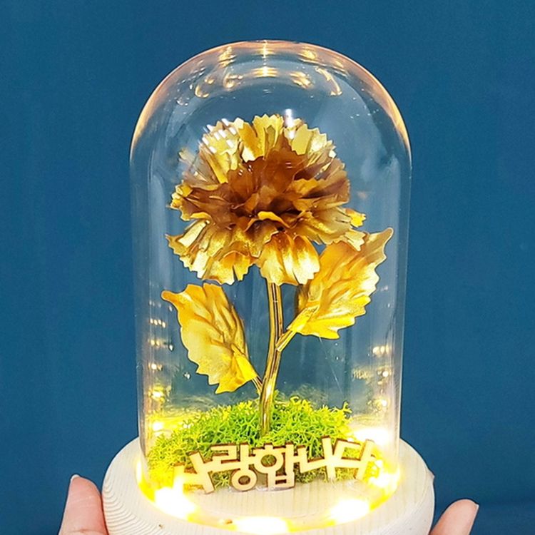 바보사랑 골드 카네이션 유리돔 무드등 Diy 키트 어버이날 선물 홈플러스 택배배송