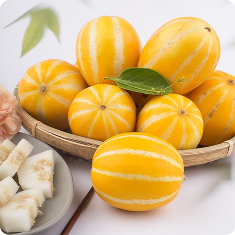 산지직송 국내산 고당도 선별 성주 참외 3kg 혼합 613과 홈플러스 택배배송