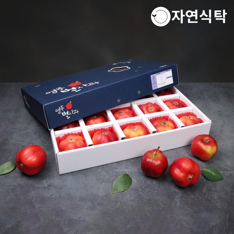 산지직송 신품종 가을스타 고당도 영주 별사과 선물세트 13kg15과 홈플러스 택배배송