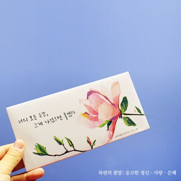 프리전트 다꾸템 용돈편지봉투 꽃말시리즈 목련꽃 홈플러스 택배배송