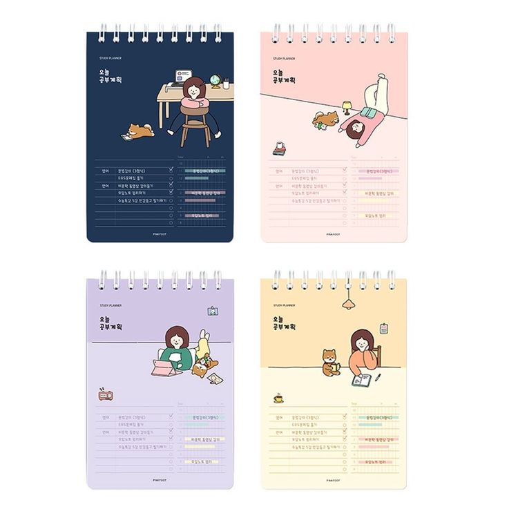 공부계획 스터디플래너 4개혼합 100일 공부 스케쥴 홈플러스 택배배송