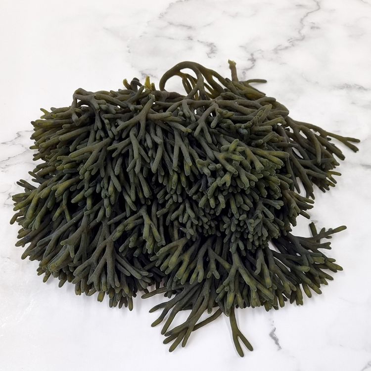 생산자 직송 청정고흥 생 청각 10kg 홈플러스 택배배송