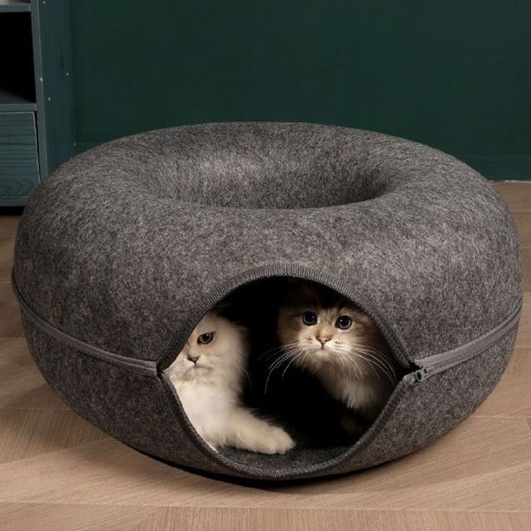 고양이 도넛 터널 숨숨집60cm 다묘 캣터널하우스 홈플러스 택배배송