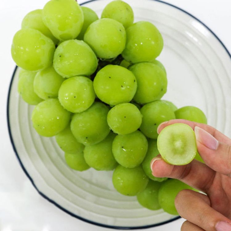 남도장터 에코 저탄소인증 고당도 샤인머스켓 2kg3수 선물용 홈플러스 택배배송