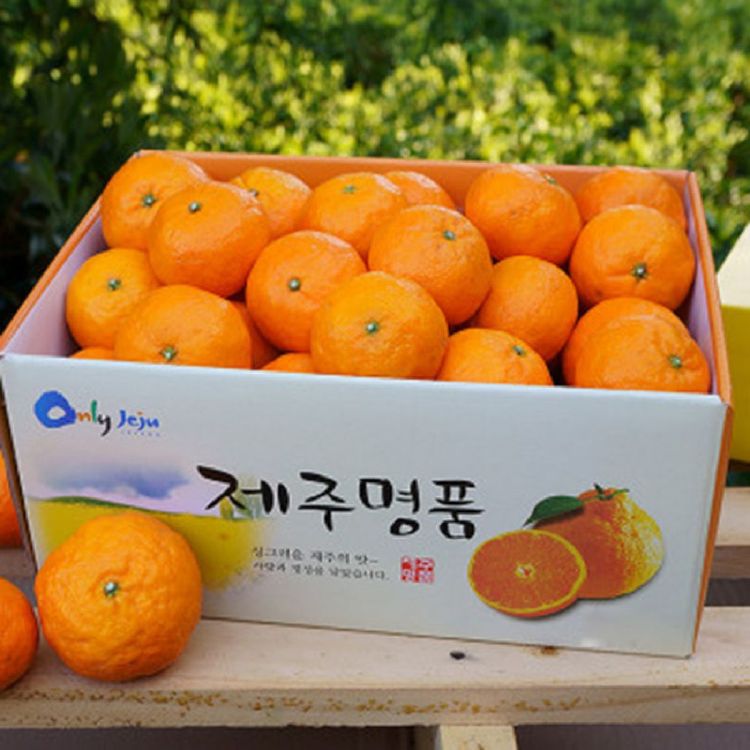 제주담은 제주직송 못난이 귤로향 카라향 15kg벌크과수랜덤 가정용 홈플러스 택배배송