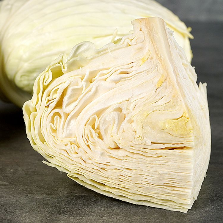 산세로 무농약 양배추 3kg 홈플러스 판매자택배