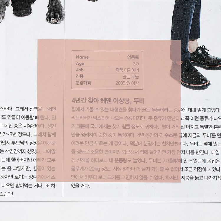 활용만점 반투명 점착메모지50매x10세트 필름메모지 홈플러스 택배배송