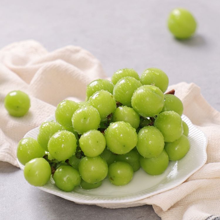 산지직송 입안 가득 터지는 달콤함 국내산 샤인머스캣 2kg 2 5송이 홈플러스 택배배송
