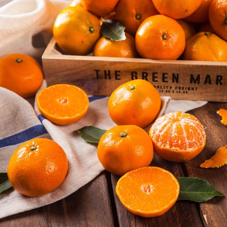 조생 노지 감귤 9kg 대과 (L-2L) | 홈플러스 택배배송